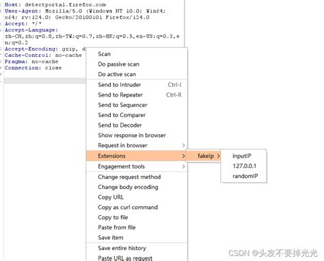 burpsuit安装fakeip插件 burpfakeip csdn博客