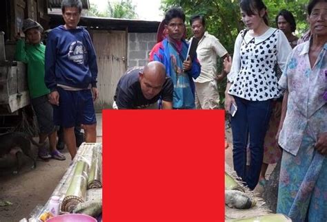 【閲覧注意】タイの村で恐ろしい生き物が生まれる。ワニの頭、ワニの皮膚、牛の足 ポッカキットポッカキット