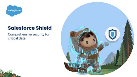 Salesforce Shield For The Public Administration