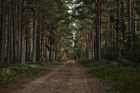 30000 Foto Intipcewemandi Terbaik · Unduh Gratis 100 · Foto Stok