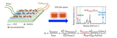 Normalization Procedure For Analyte Detection Using Raman Spectroscopy Download Scientific
