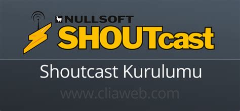 Shoutcast Kurulumu Centos