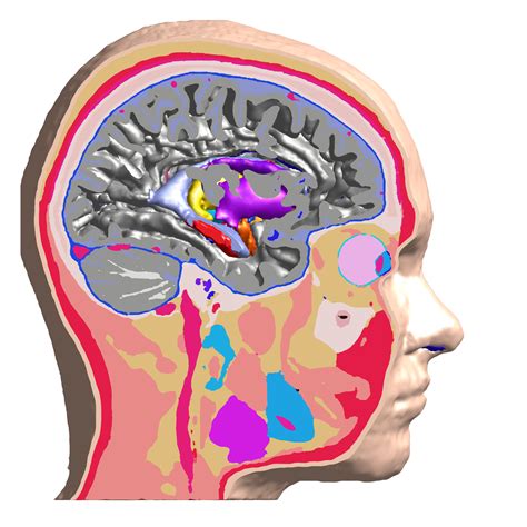 Mida Model Itis Foundation