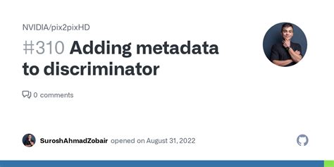 Adding Metadata To Discriminator · Issue 310 · Nvidiapix2pixhd · Github