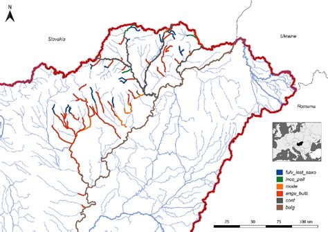 Map Showing Predictions On The Dominant Species And Species Groups By Download Scientific