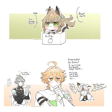 黒河シオン 🔸 Kurogawa Shion On Twitter 🔸 New Cat Kirara Time To Gather Some Primogems ´∀` 💦