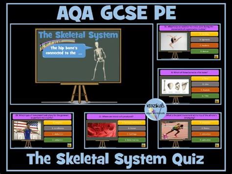 Aqa Gcse Pe The Skeletal System Teaching Resources