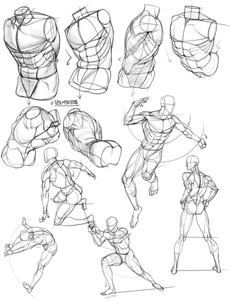 1 ☕ Utodjsq X Anatomy Art Human Anatomy Art Anatomy Sketches