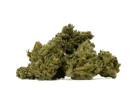 Jack Herer Weedmaps At Jamie Cartwright Blog