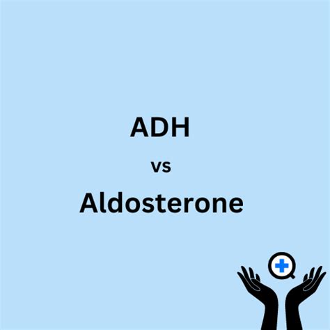Aldosterone Vs Adh Antidiuretic Hormone Differences And Similarities