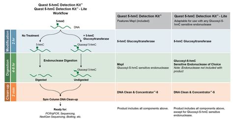 5hmc Sequencing 5 Hmc