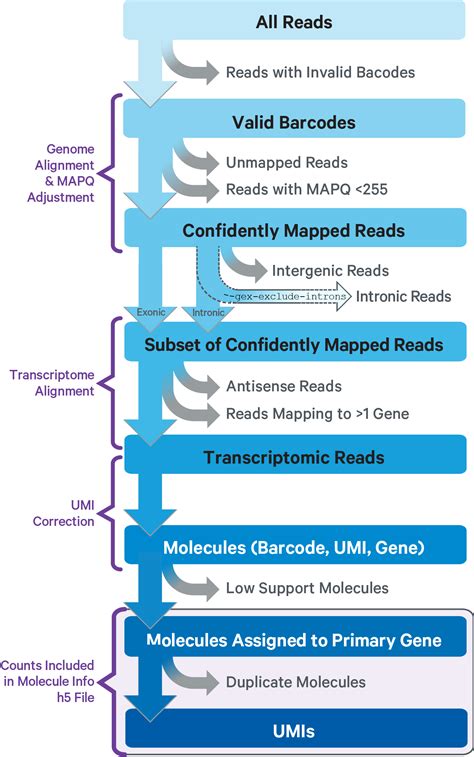Cell Ranger Arc Algorithms Overview Software Single Cell Multiome