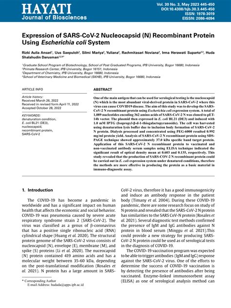 Pdf Expression Of Sars Cov 2 Nucleocapsid N Recombinant Protein Using Escherichia Coli System