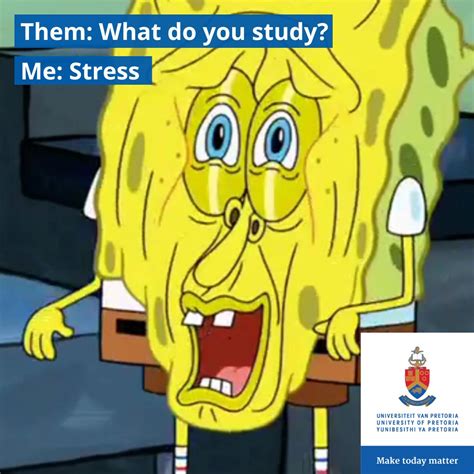 Stress Spongebob Meme