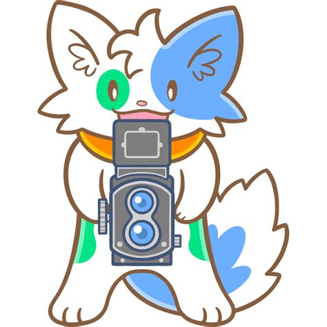 meow apps wordpress plugins for photographers optimization and seo