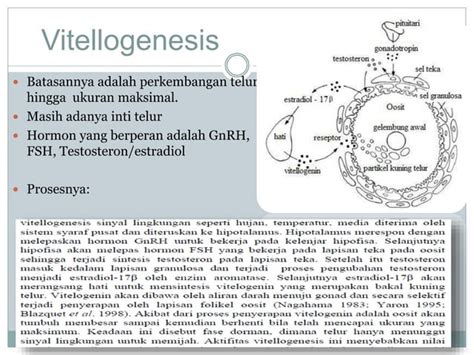Kinerja Hormon Reproduksi Ikan Pada Matakuliah Endokrinologi Ikan Pptx