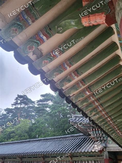 서까래 한국 전통 1799863422 키컷스톡