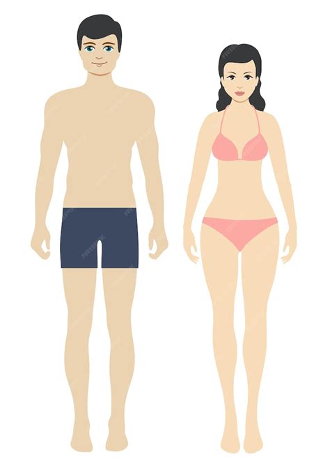 남자와 여자의 인물 건강한 남성과 여성의 신체 유형의 평면 컬러 일러스트 템플릿 프리미엄 벡터