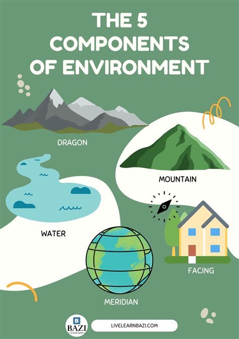 The 5 Components Of The Environment In Feng Shui