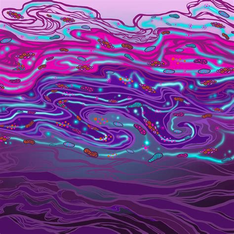 The Universe Below Our Feet Mustardseed Trust