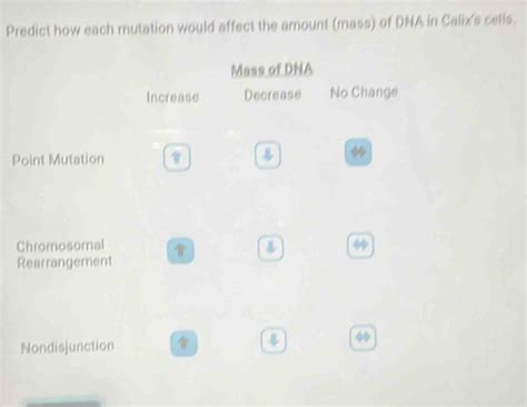 Solved Predict How Each Mutation Would Affect The Amount Mass Of Dna