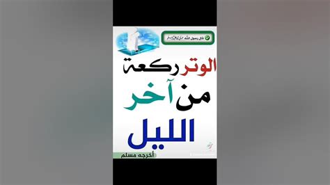 Hadith Sunnite Youtube