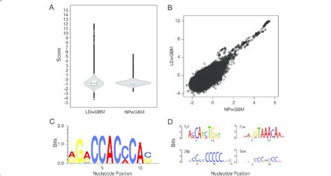 assessment of genomic kmer svm predictions using classifiers trained on