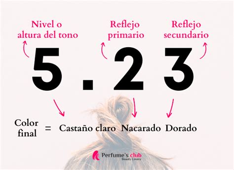 Tintes Para El Pelo Numeración Y Colores