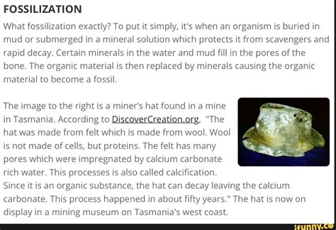 Fossilization Memes Best Collection Of Funny Fossilization Pictures On Ifunny