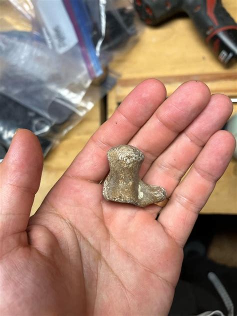 Bone Fossil Rarcheology