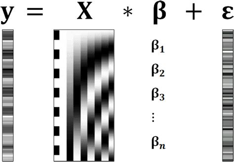 Nipype Beginners Guide — All You Need To Know To Become An Expert In Nipype