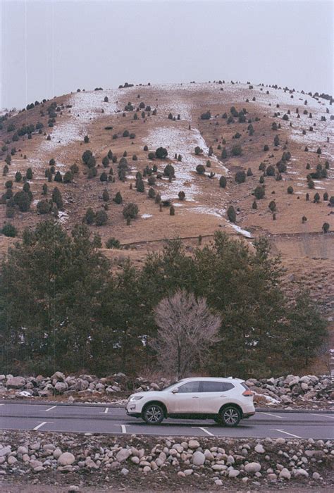 Заповедник Ала Арча