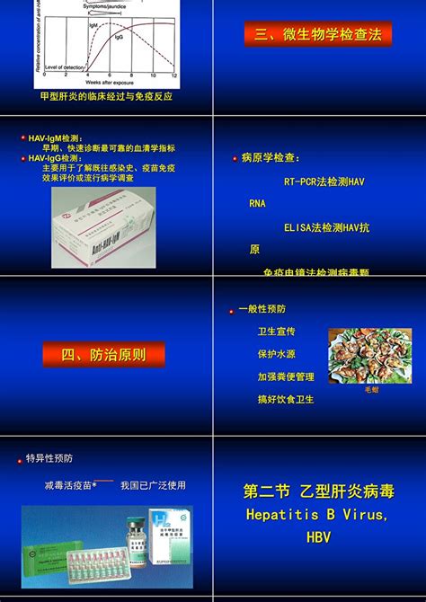 病毒性肝炎的临床特征PPT模板 卡卡办公
