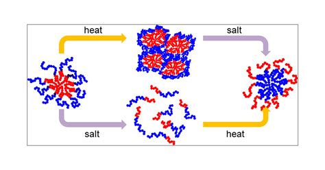 Switch It Inside Out Schizophrenic” Behavior Of All Thermoresponsive Ucstlcst Diblock