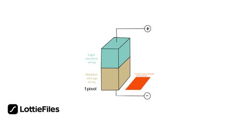 Free Charged Coupled Device Flouroscopy Animation By Mervin Paul