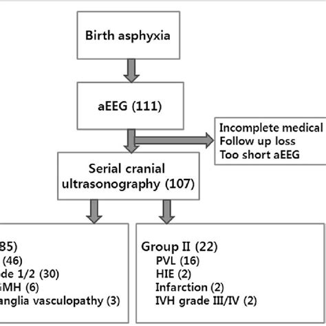 Flow Diagram Shows Patient Categorization Among 111 Patients Serial Download Scientific