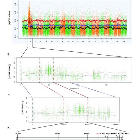 Mapping Of Sex Locus By Ngs Based Bsa And Linkage Analysis A