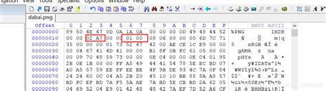 Buuctf Misc 大白ctf Fireworks隐写 大白激活口令 Csdn博客