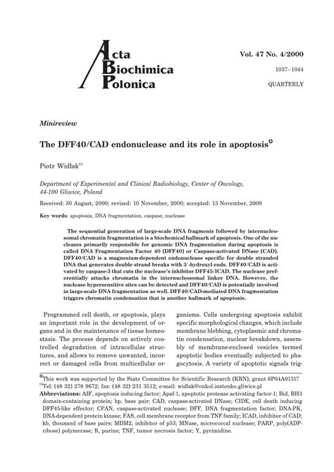 Pdf The Dff40cad Endonuclease And Its Role In Apoptosis