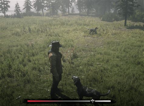 The Best Boahs Two Boahs Found Randomly On The Way To Strawberry R