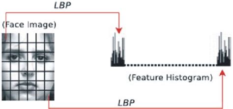 5 Technique Feature Extraction Process Reduced To Size 256x256 Local Download Scientific