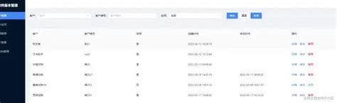 在blazor 中自定义权限验证 董川民