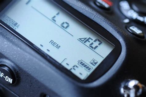 Nikon DSLR Error Codes Explained Richard Peters Wildlife Photography