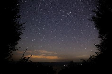 은하수가 있는 놀라운 별이 빛나는 밤하늘과 호수 위에 떨어지는 별과 산속의 나무 아름다운 밤하늘 숨막히는 풍경 숲 속의 캠프 텐트에서 하늘을 봅니다 프리미엄 사진