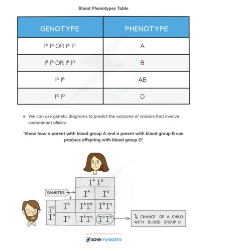 3 2 3 Inheritance Genetic Inheritance Flashcards Quizlet