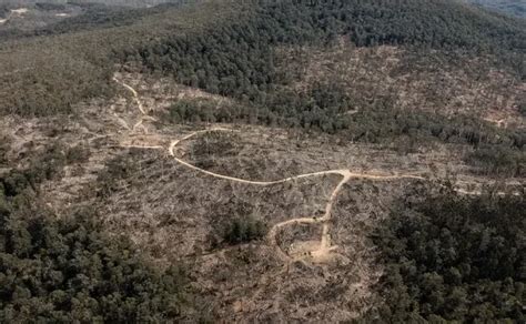 Human Wildlife Interaction