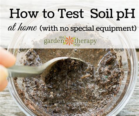 How To Do A Soil PH Test At Home