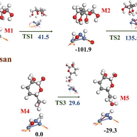 Initial Pathways That Operate In The Surface Assisted Hdo Of Download Scientific Diagram