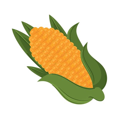 Corn Cob Icon 13816412 Vector Art At Vecteezy