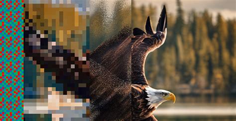 Image Journey From Sensor To Host Processor